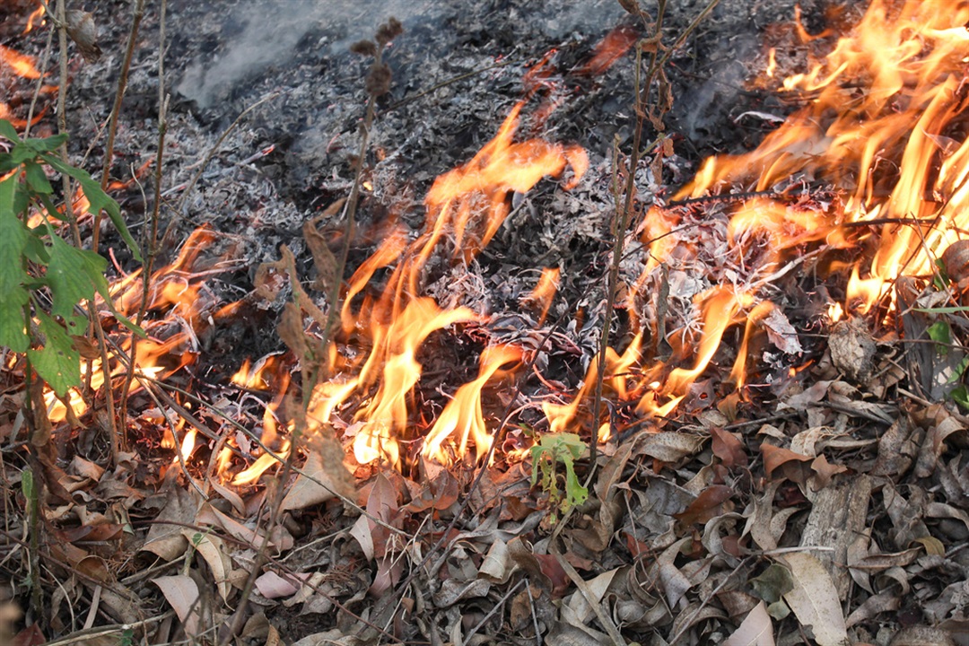Outdoor burn ban in effect for North Port - North Port, FL