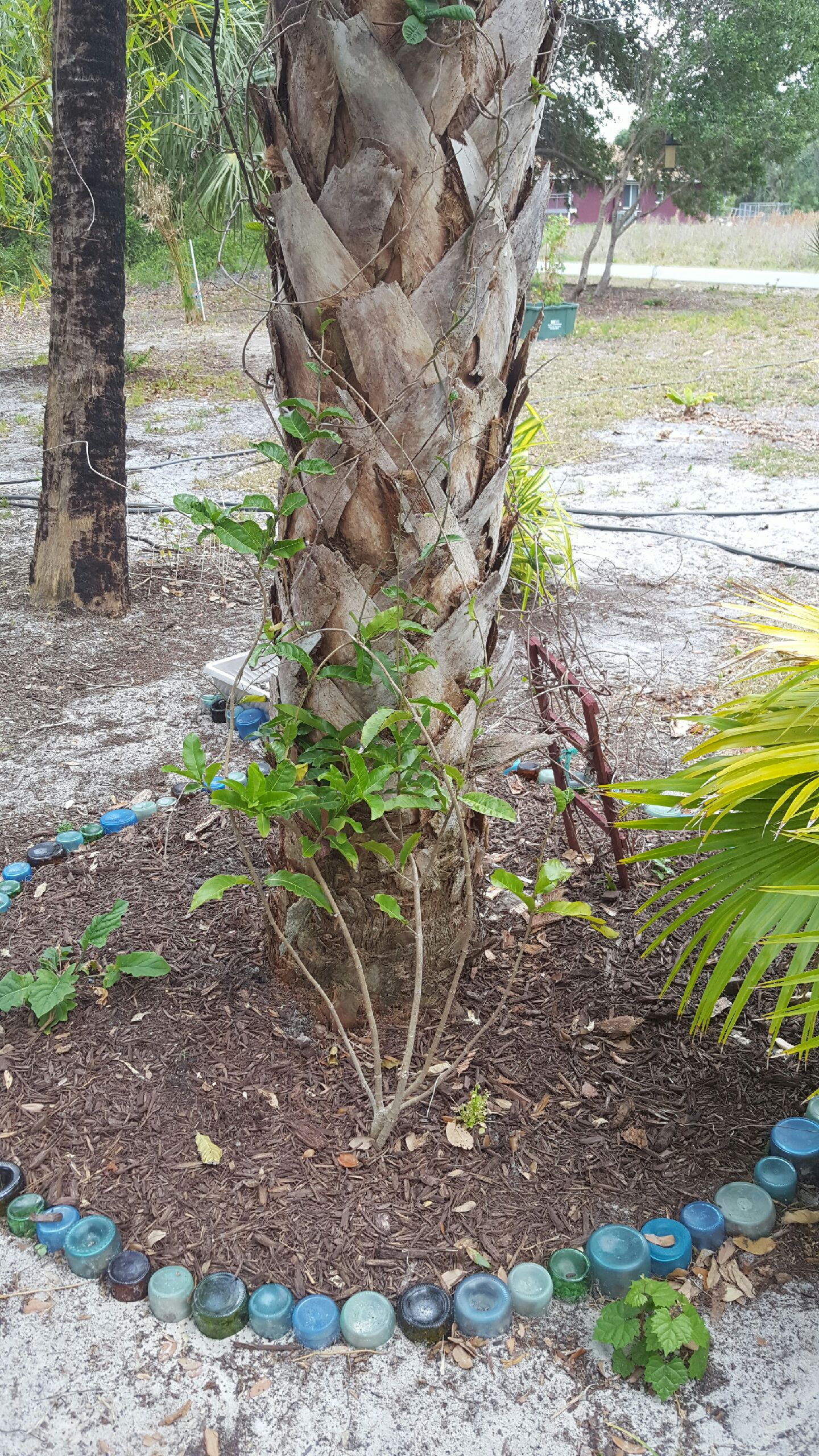 Recycling - North Port, FL